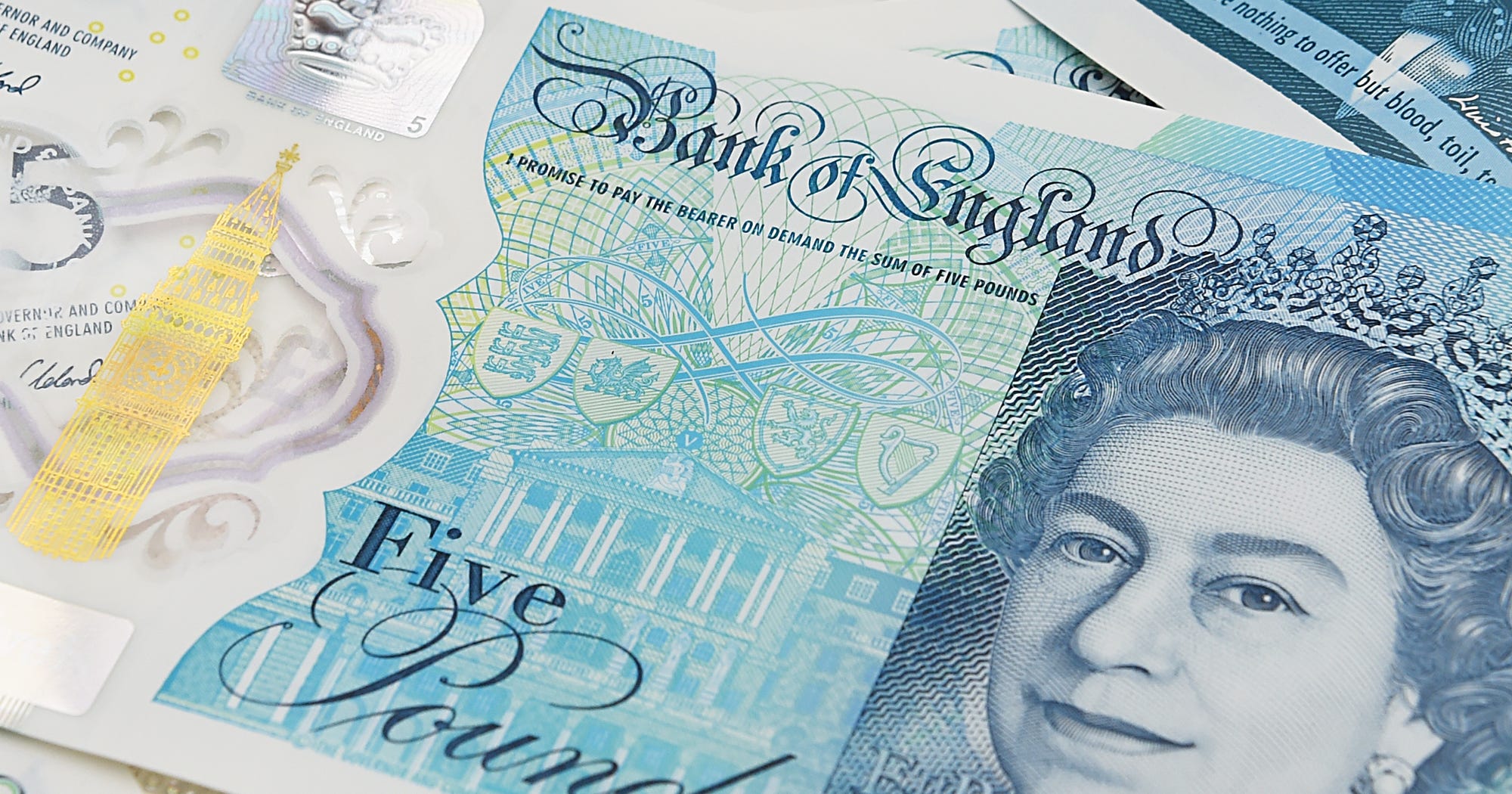 New Five Pound Note Animal Fat – Not Vegan