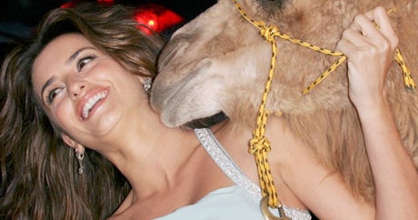 Animals On Red Carpet - Funny Celeb Pictures