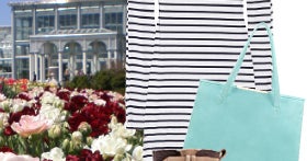 Spring Break Vacations - Washington DC Travel - DC Day Trips