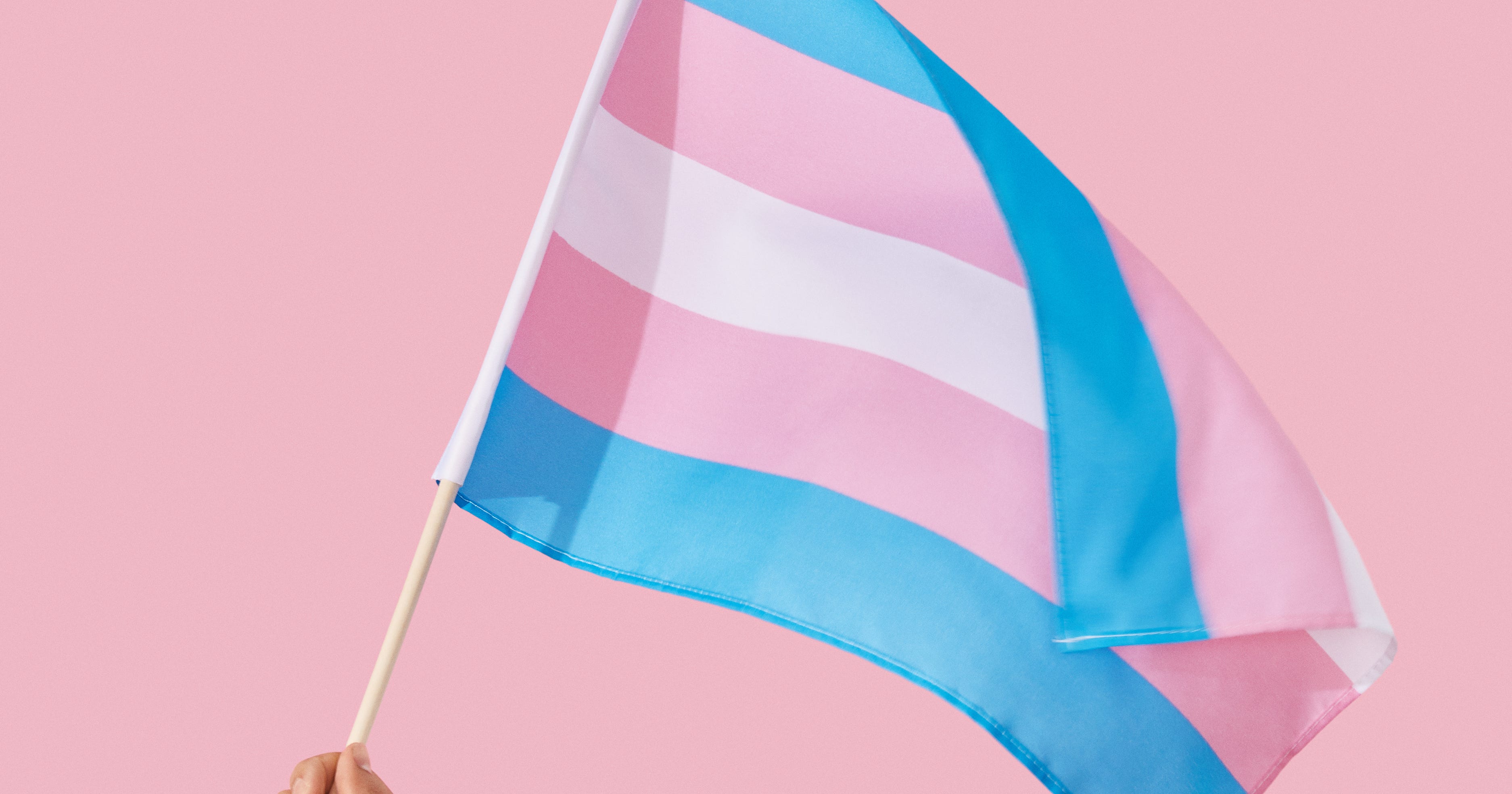 Transgender Flag: Colours & Meaning For Trans History