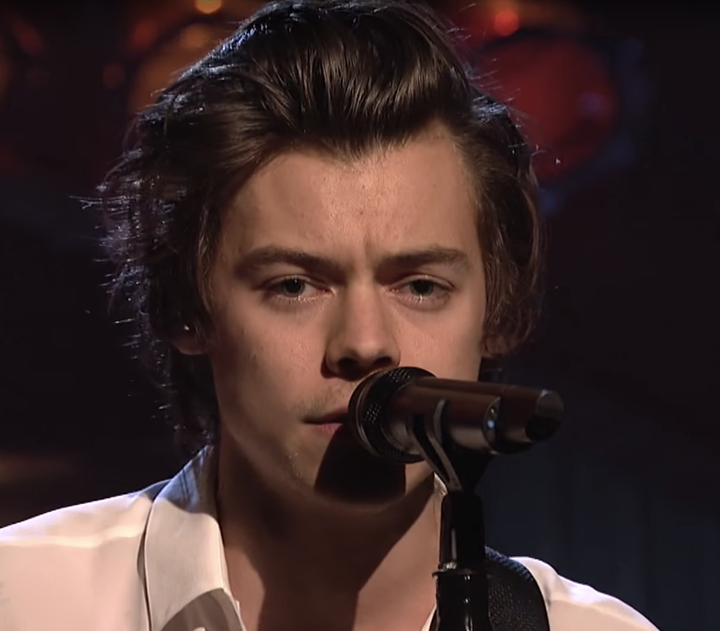 Harry Styles Side Face