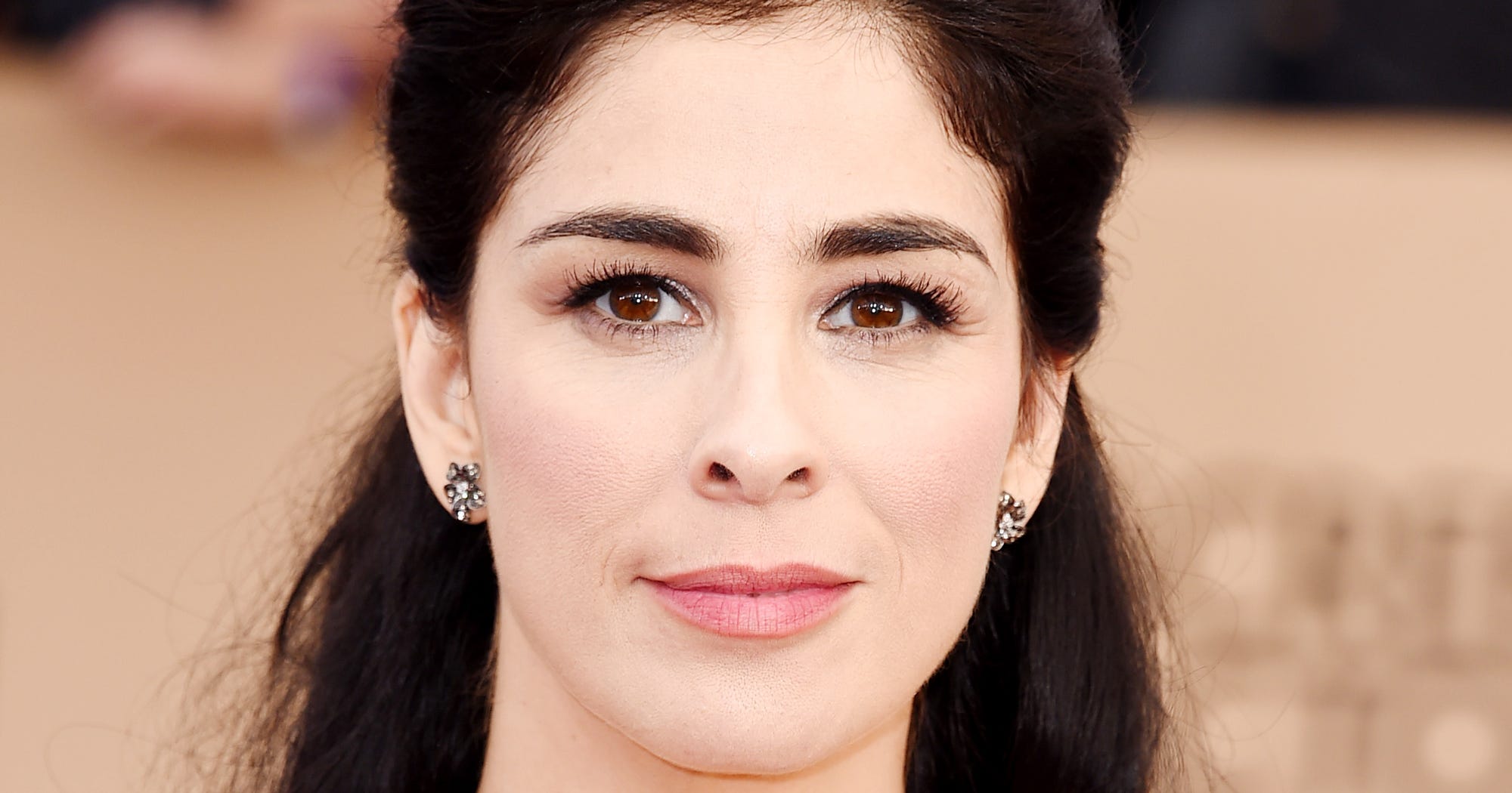 Sarah Silverman Twitter Account Hack