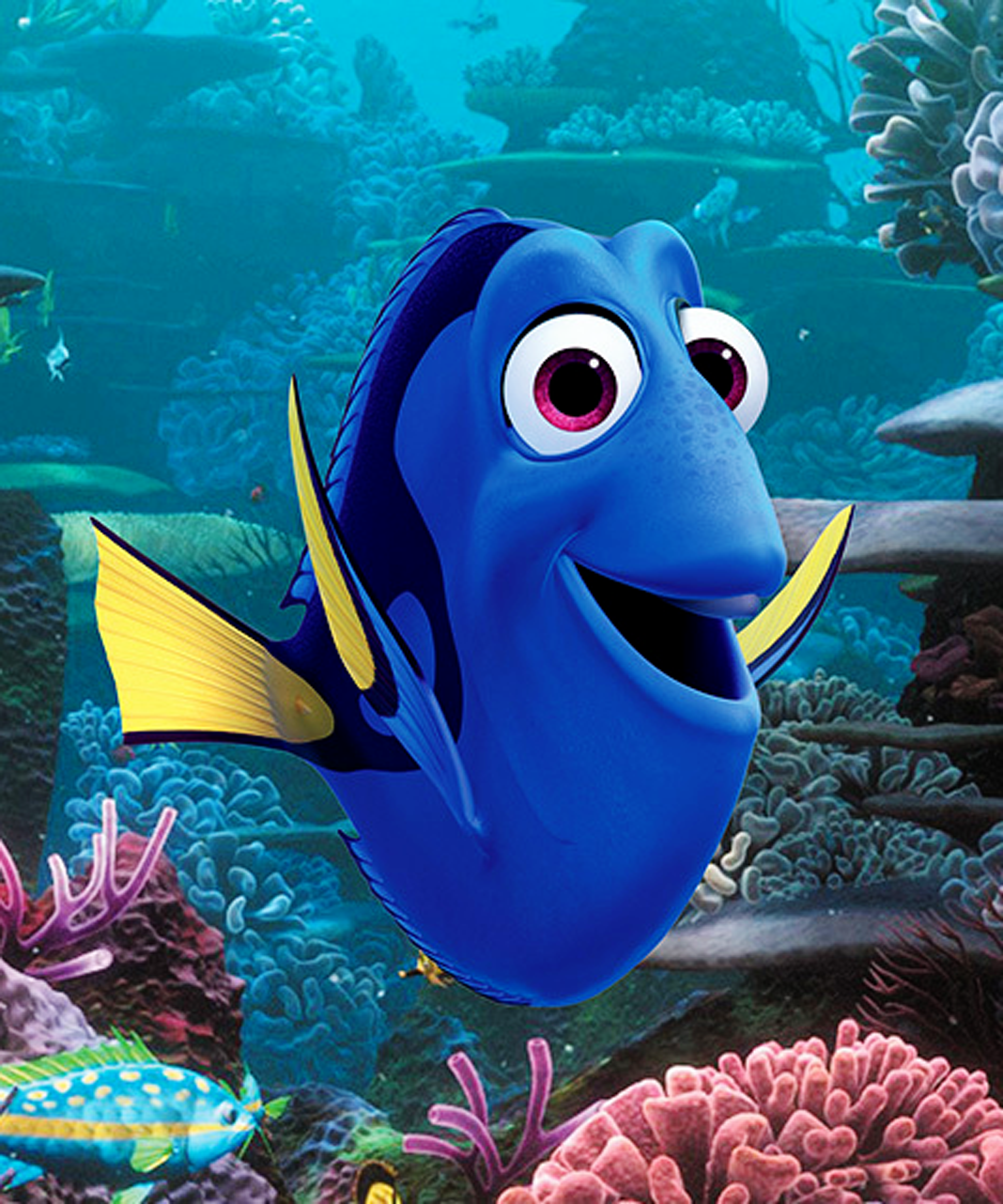 Nemo And Dory Wallpaper