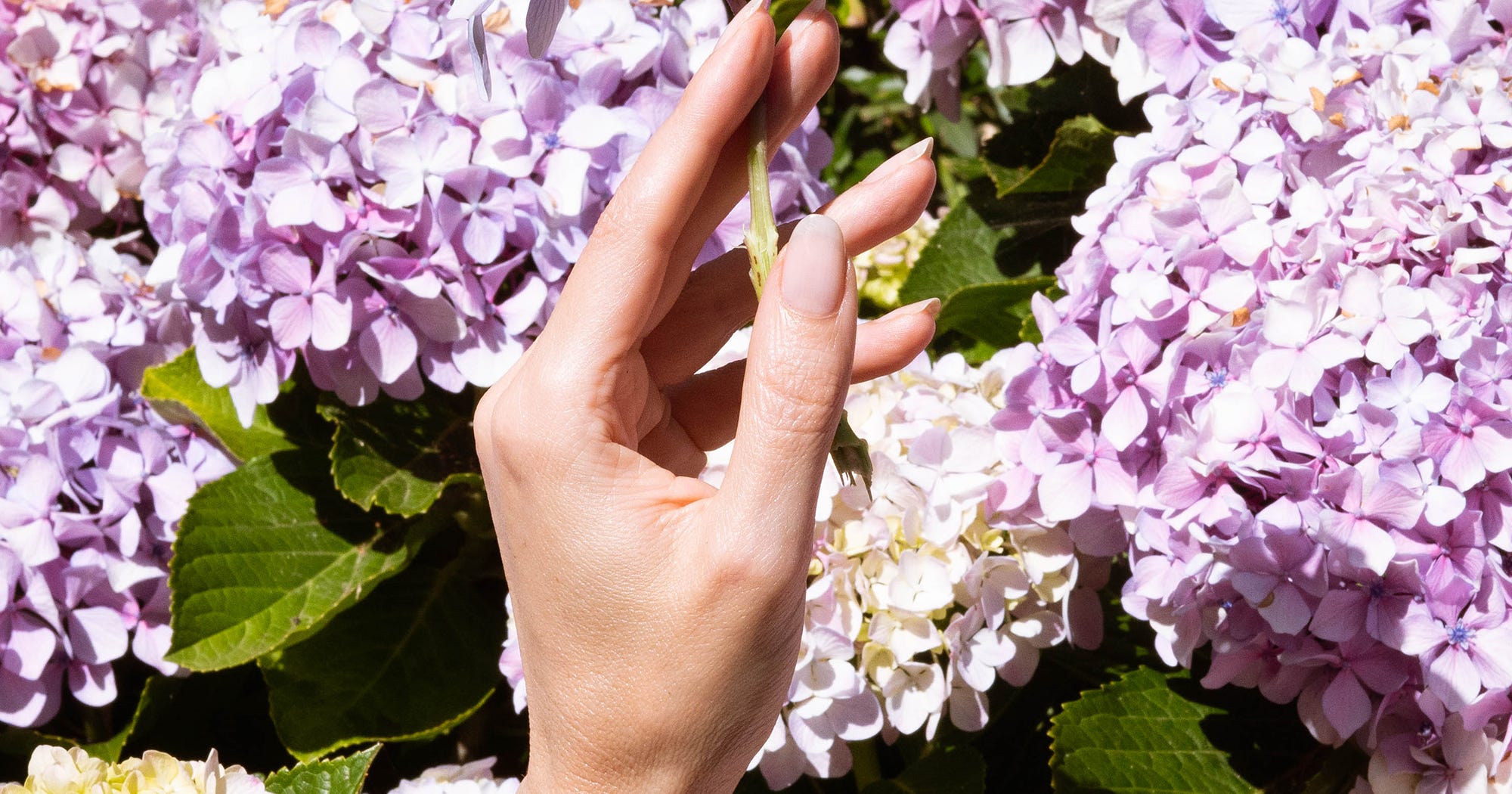 What It's Like To Be A Hand Model