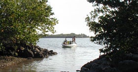 Miami Hidden Beaches - The Best Secret Beaches In Miami