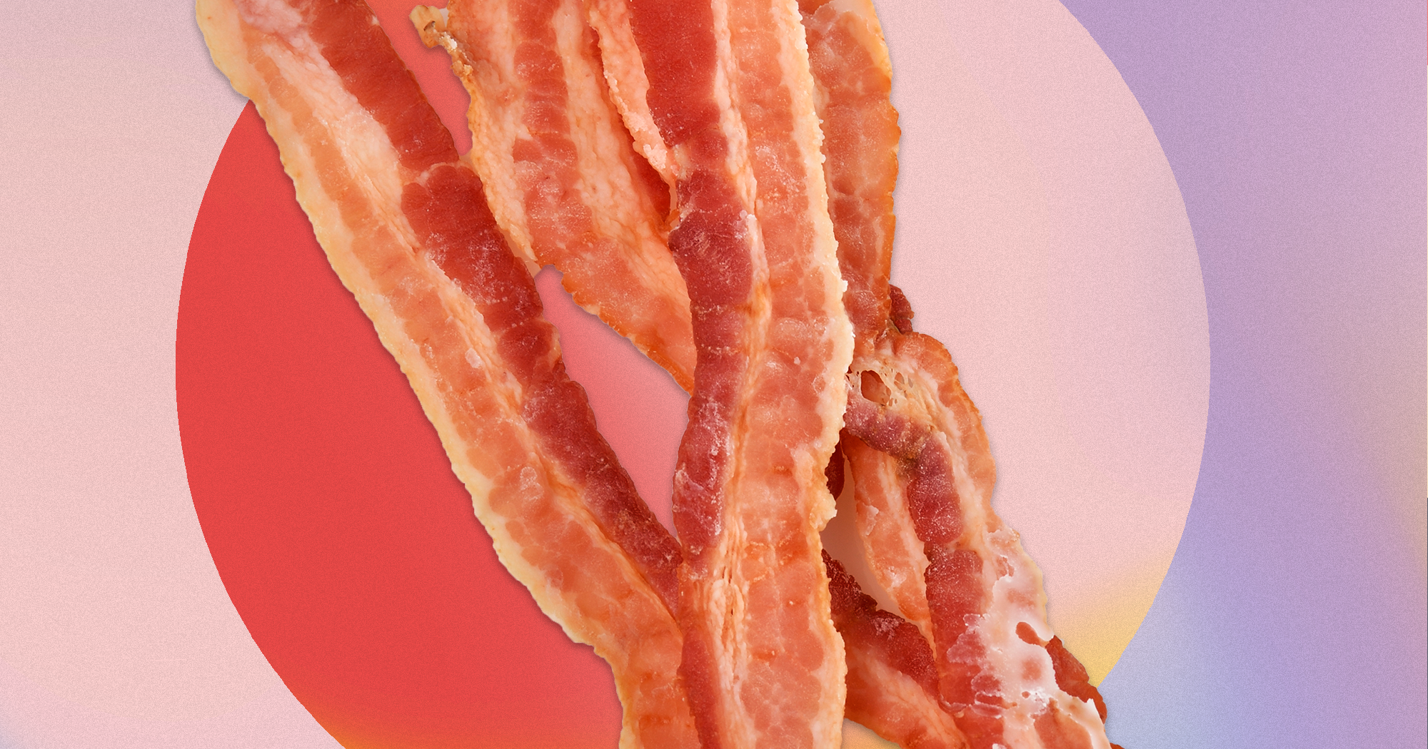 Bacon Camp For Adults Is Real