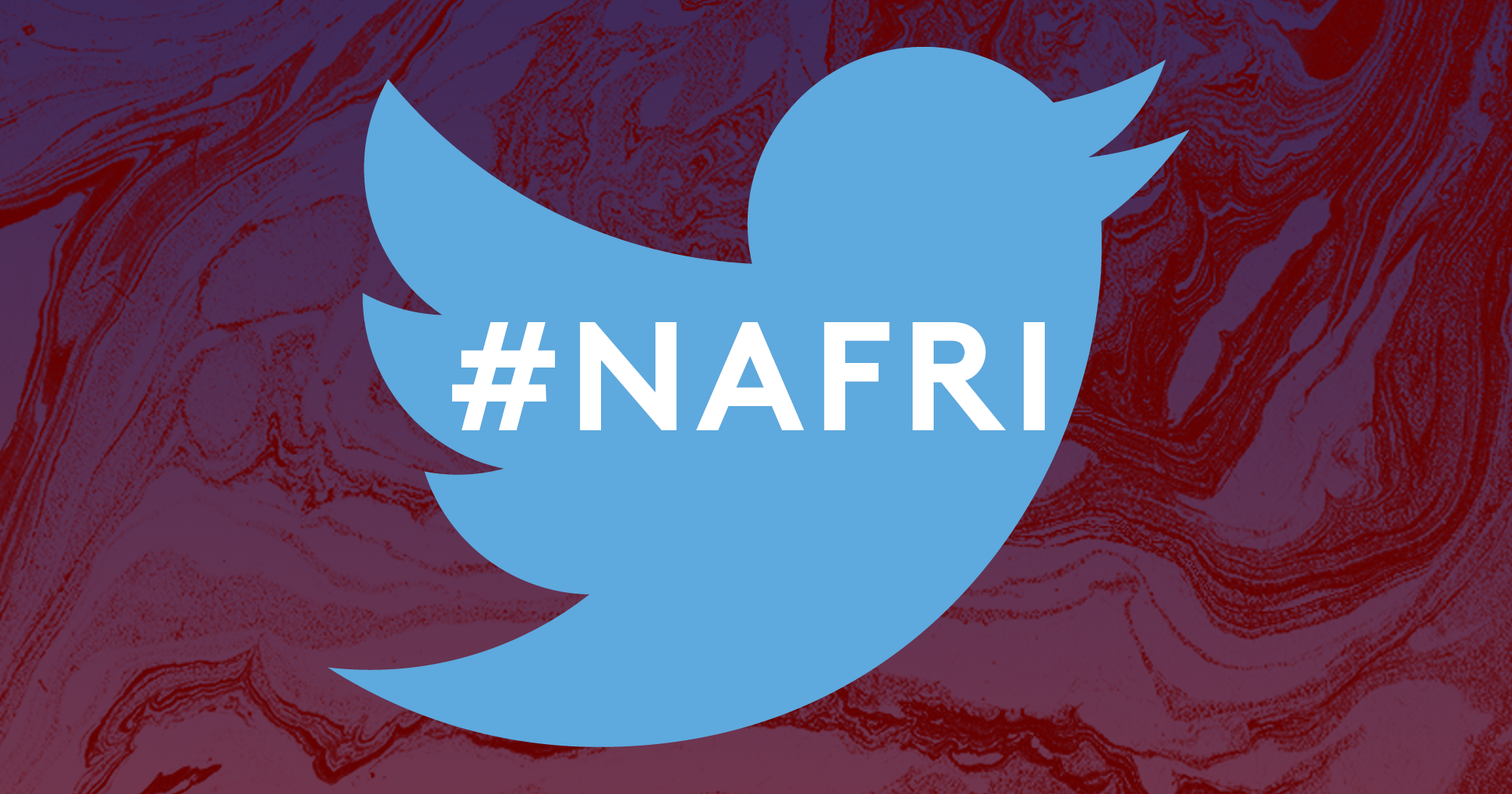 Nafri Köln: Racial Profiling durch Polizei