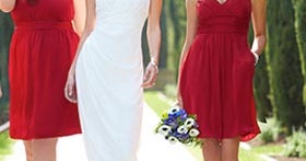 Target Weddings Bridal Tevolio Collection