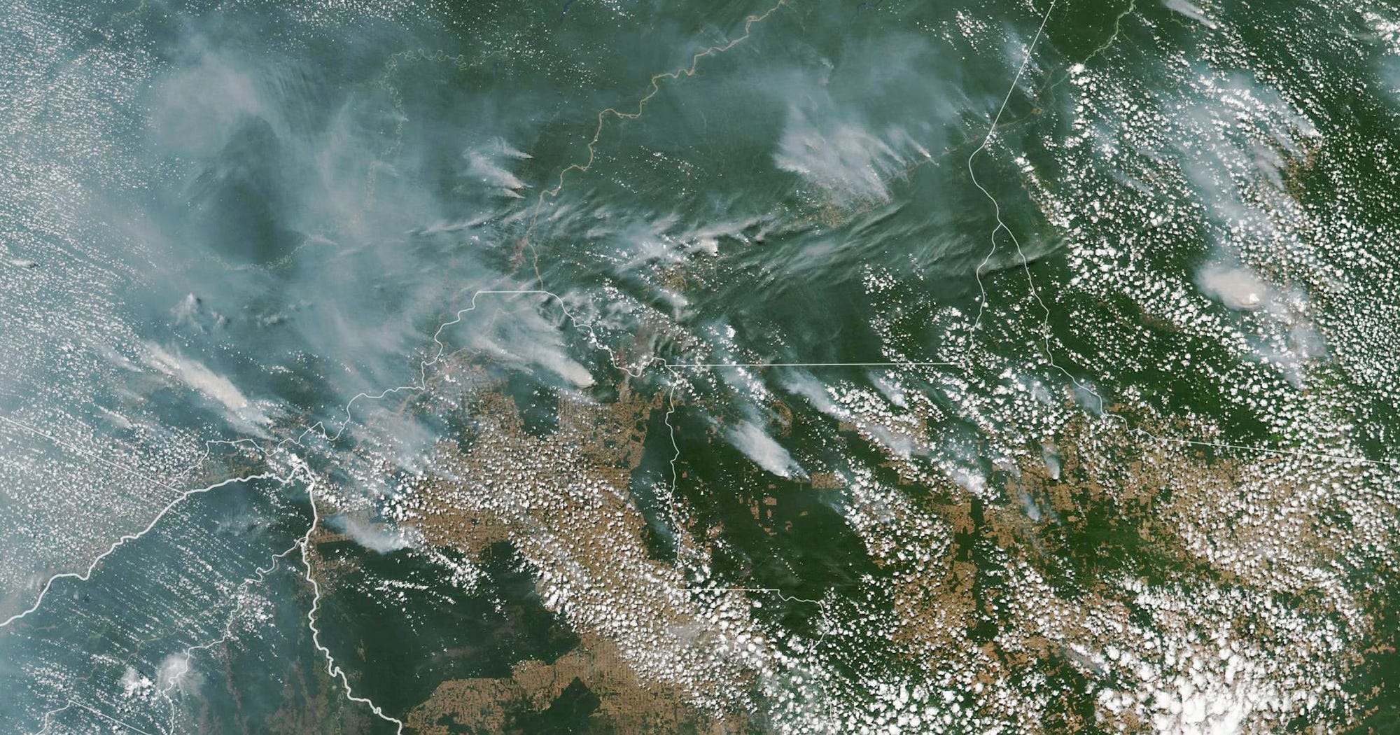 How To Help With The Amazon Rainforest Wildfires