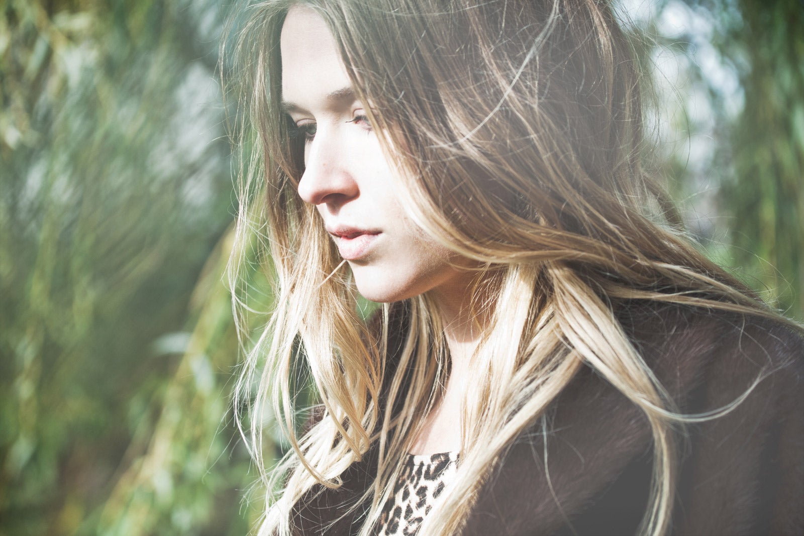 Rebecca Taras's Instagram, Twitter & Facebook on IDCrawl