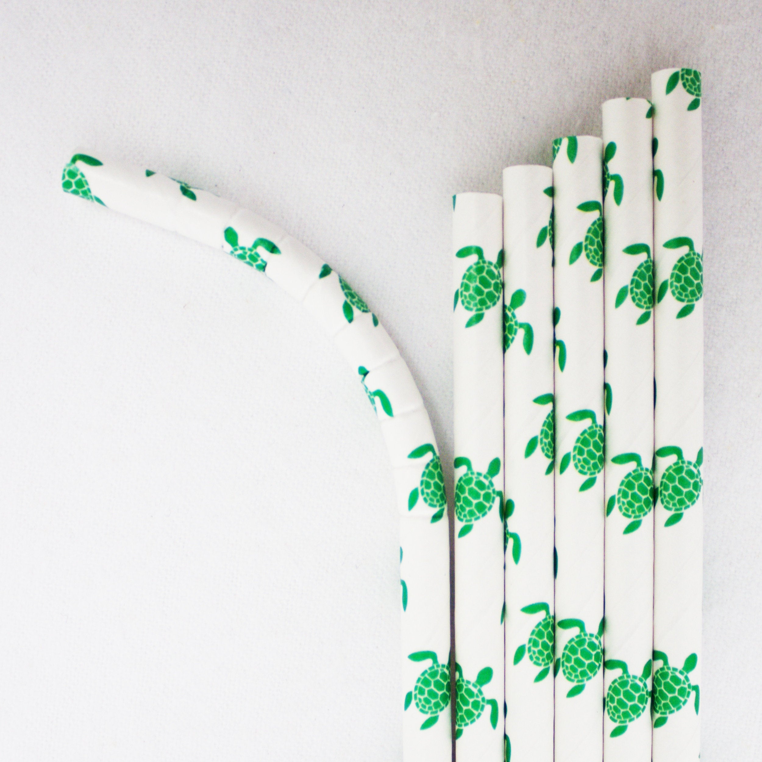 Aardvark + Sea Turtles Retail Pack Eco-Flex® Paper Straws