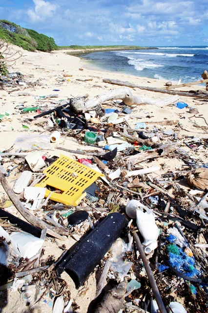 Garbage Covered Beach
