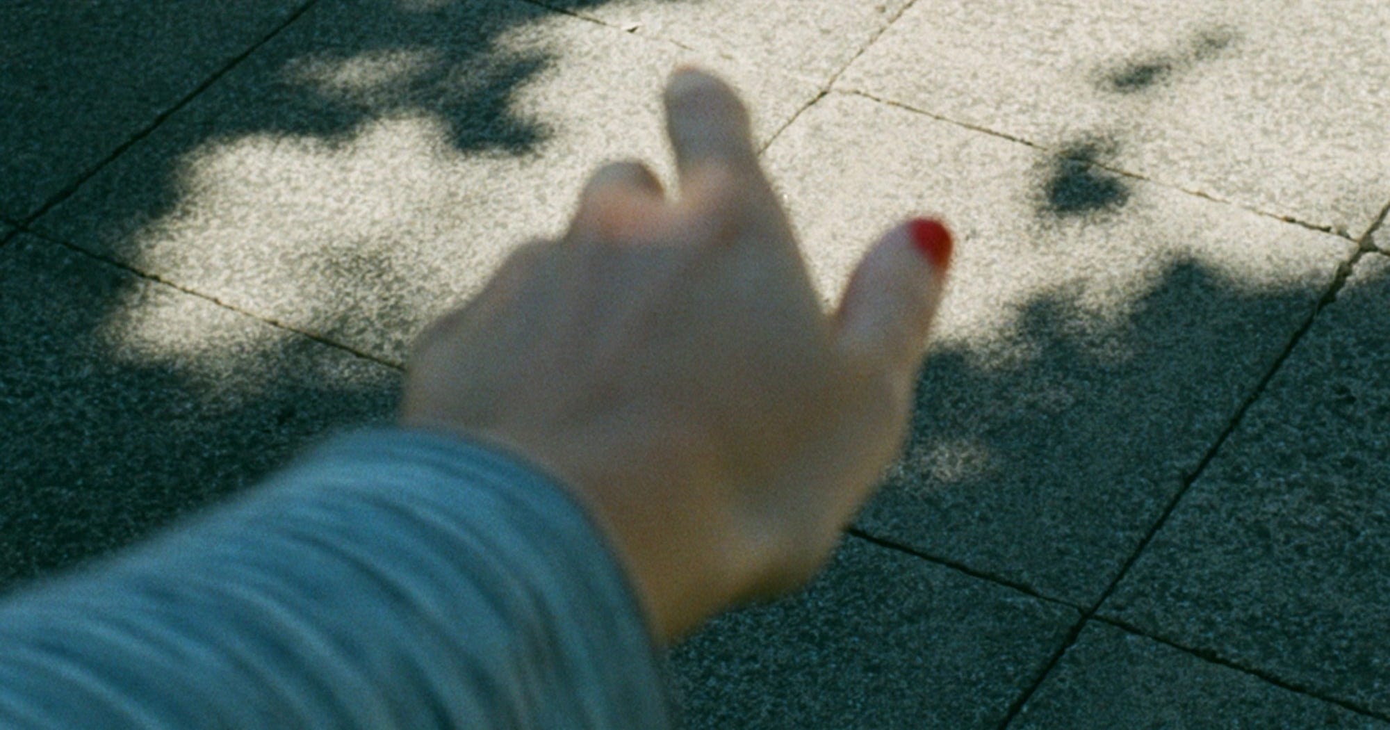 Euthanasia Is Changing The Grieving Process