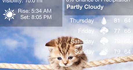New Weather Kitty App To Brighten Your Winter Gloom