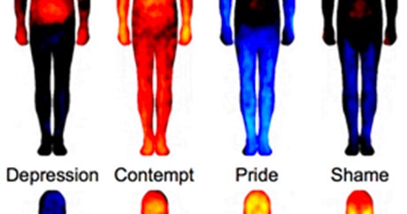 What Emotions Look Like - Feelings Visualized Study