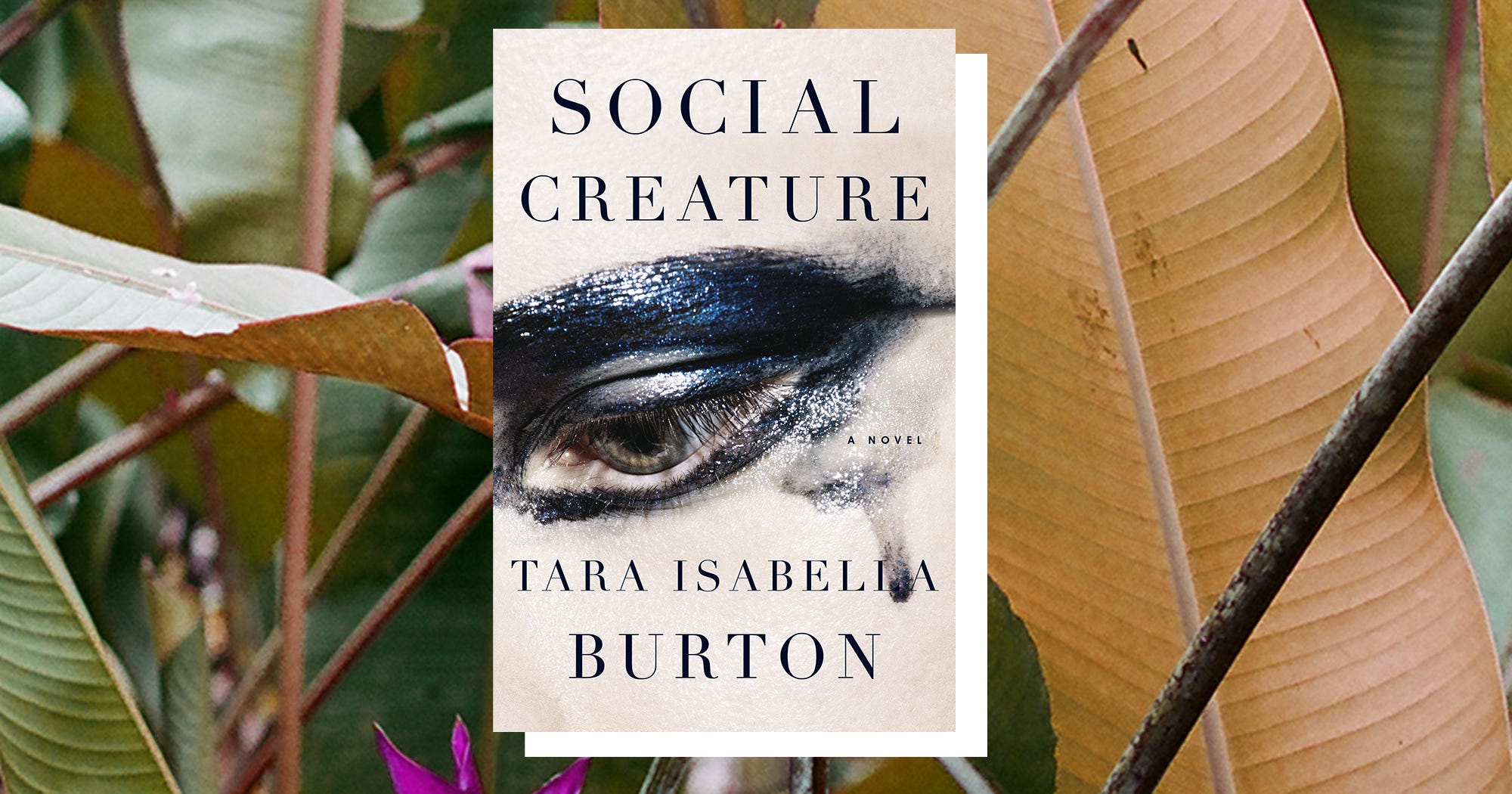 Social Creature Is The Perfect Novel For Summer Of Cons