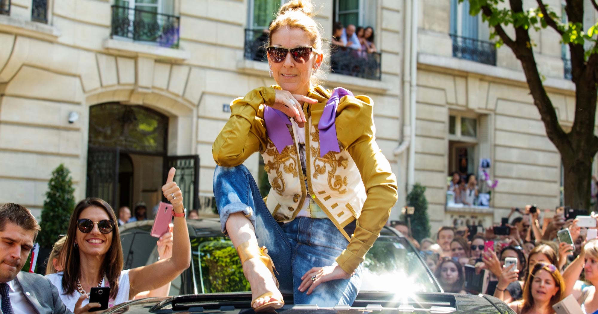 Celine Dion Funny Memes, Photos, Twitter Jokes