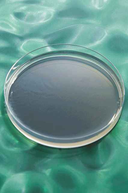 10 Real Life Examples Of Exponential Growth – StudiousGuy