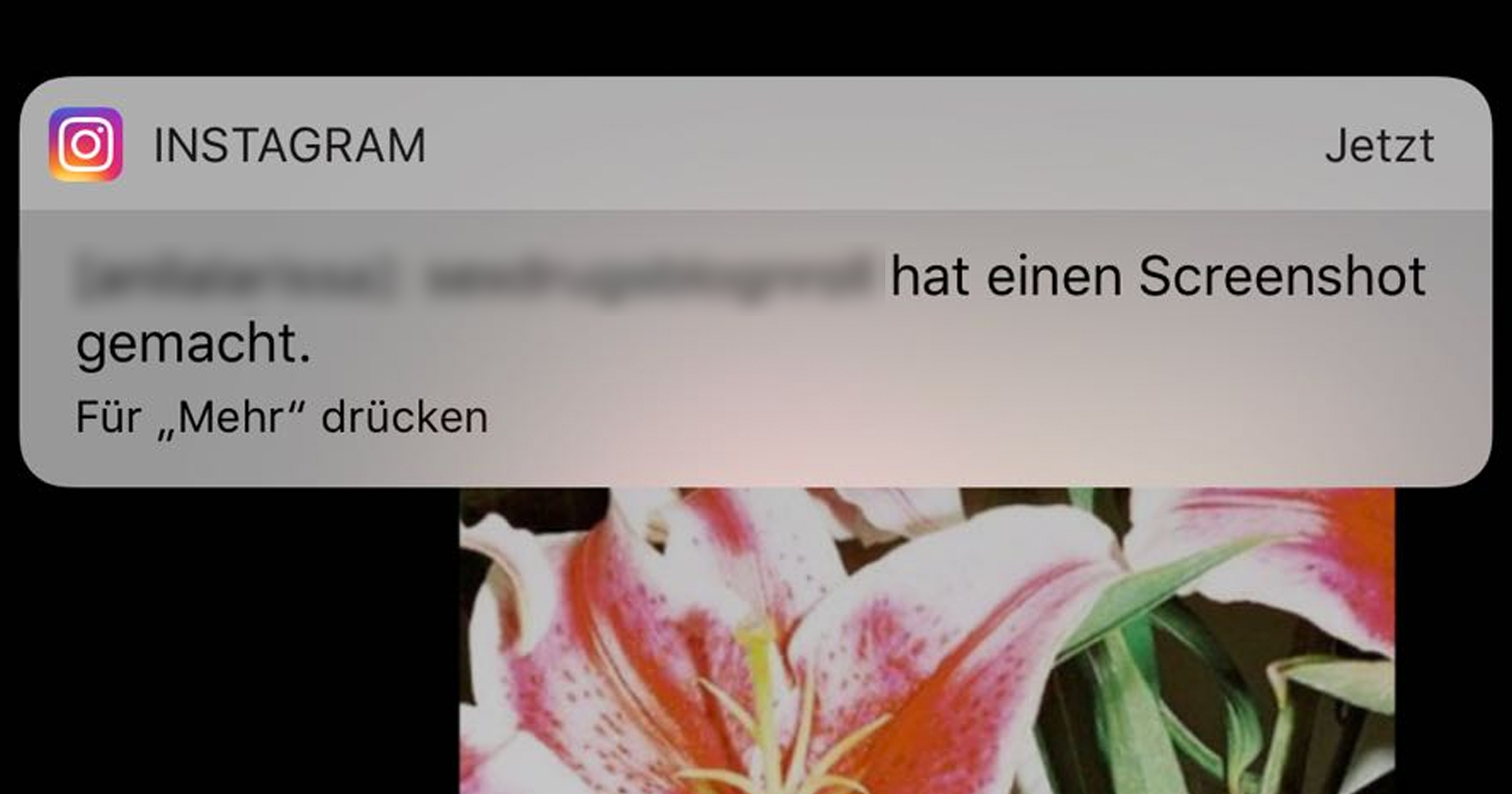 Instagram führt Screenshot-Benachrichtigungen ein