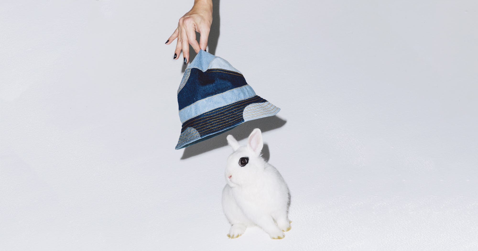 Cruelty Free Makeup - Best Vegan Beauty Products