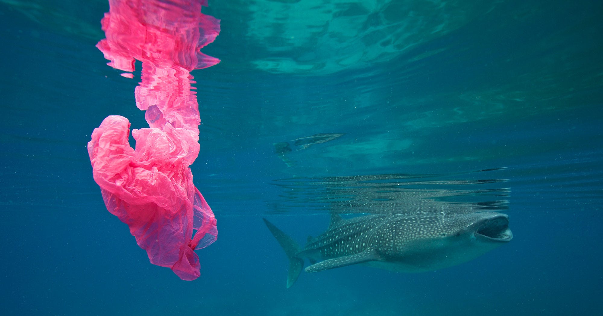 How The Beauty Industry Can Help Reduce Ocean Pollution