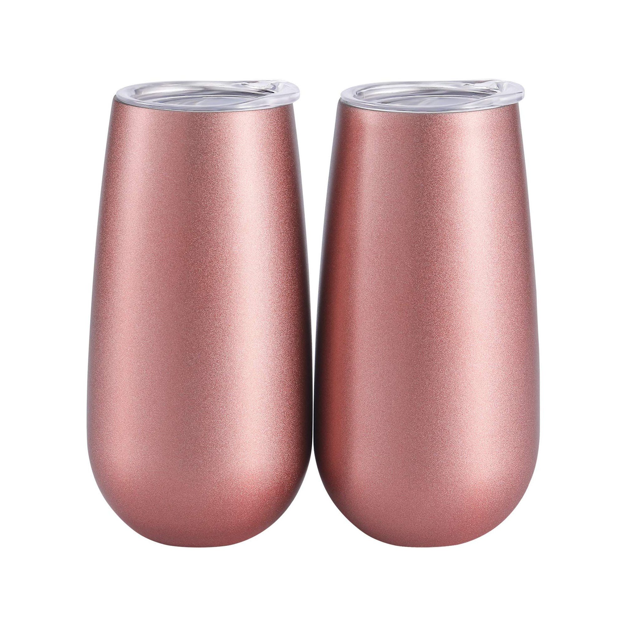 Skylety + Double-Insulated Stemless Champagne Flutes (2)