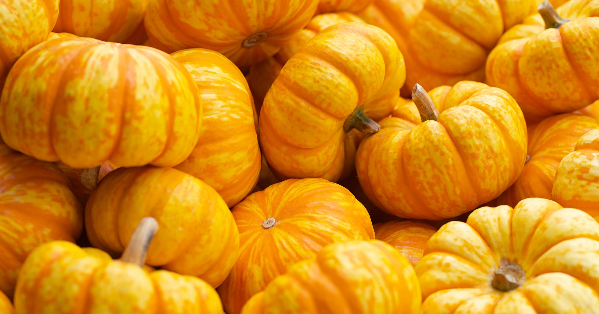 Mini Pumpkin Decorating Ideas Easy Painted Designs