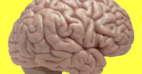 Vegetative State - Brain Activity