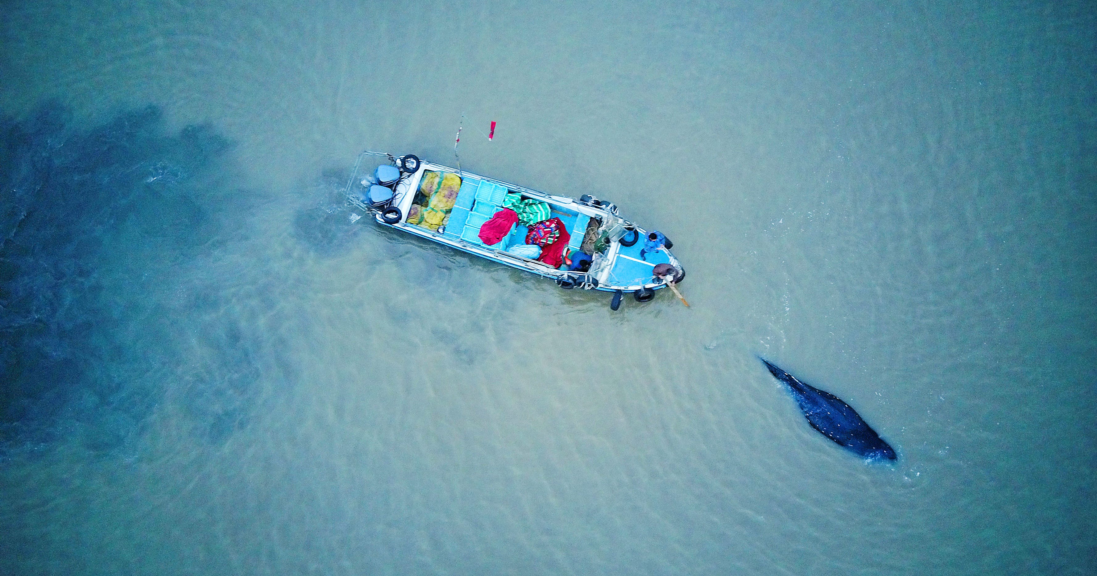 The Best Photos Trending This Week