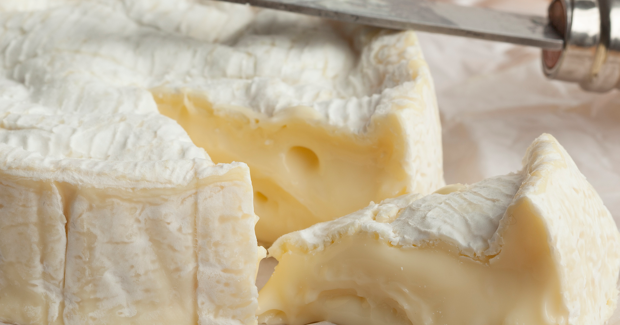 Google Doodle Cheese Marie Harel Camembert