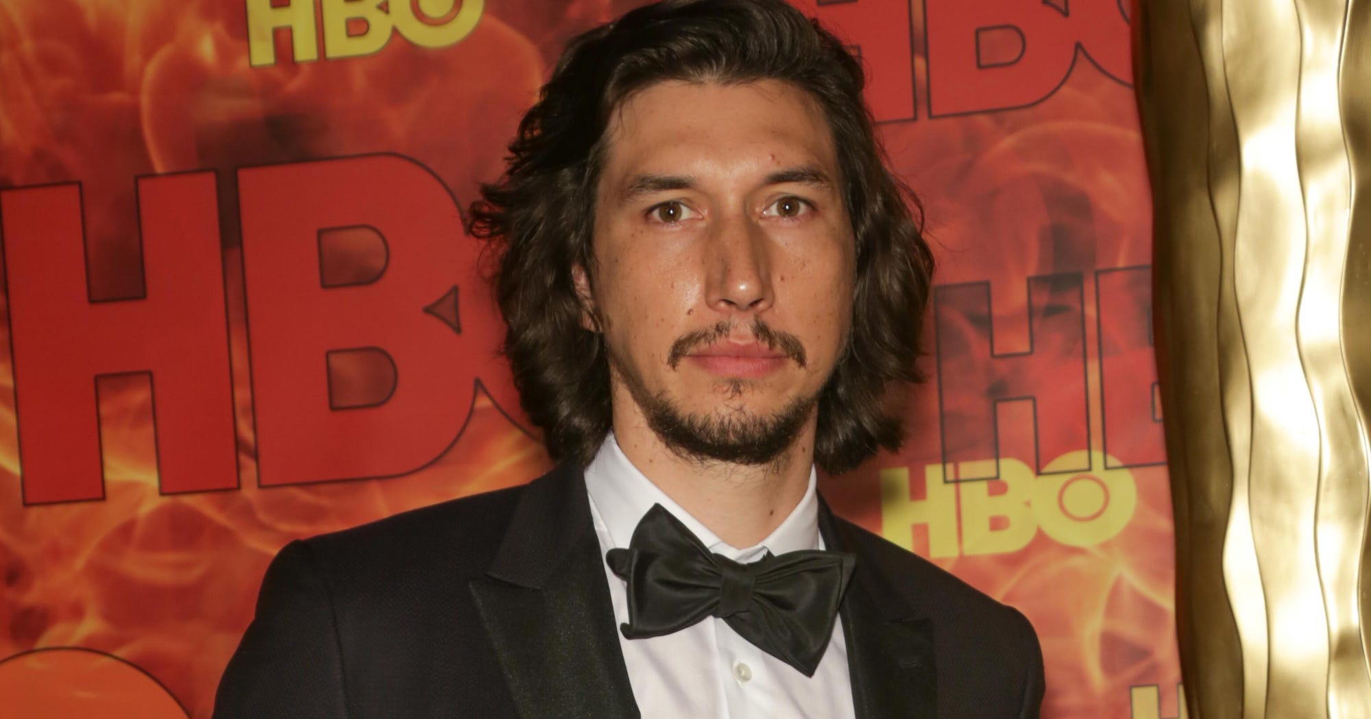 Adam Driver Cat Lookalike Corey Monmouth County SPCA