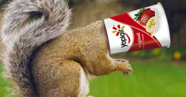 Yoplait Yogurt Cups Pollution Kills Animals