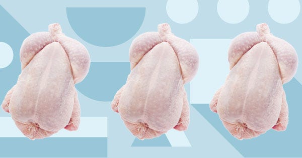 Frozen Chook Chicken Selfie Instagram Trend