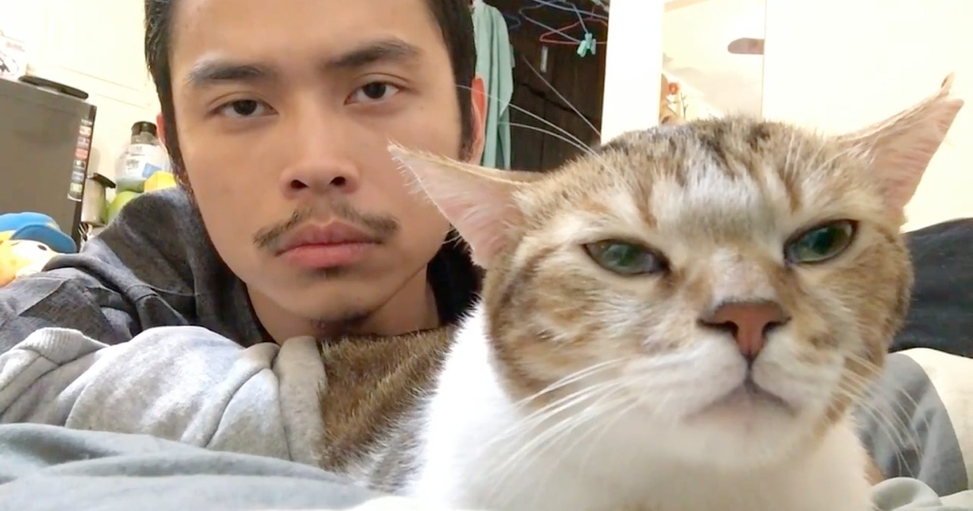 Hotline Bling Cat Caturday