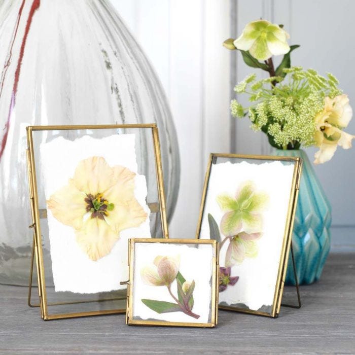 Graham and Green + Set of Three Gold Glass Frames