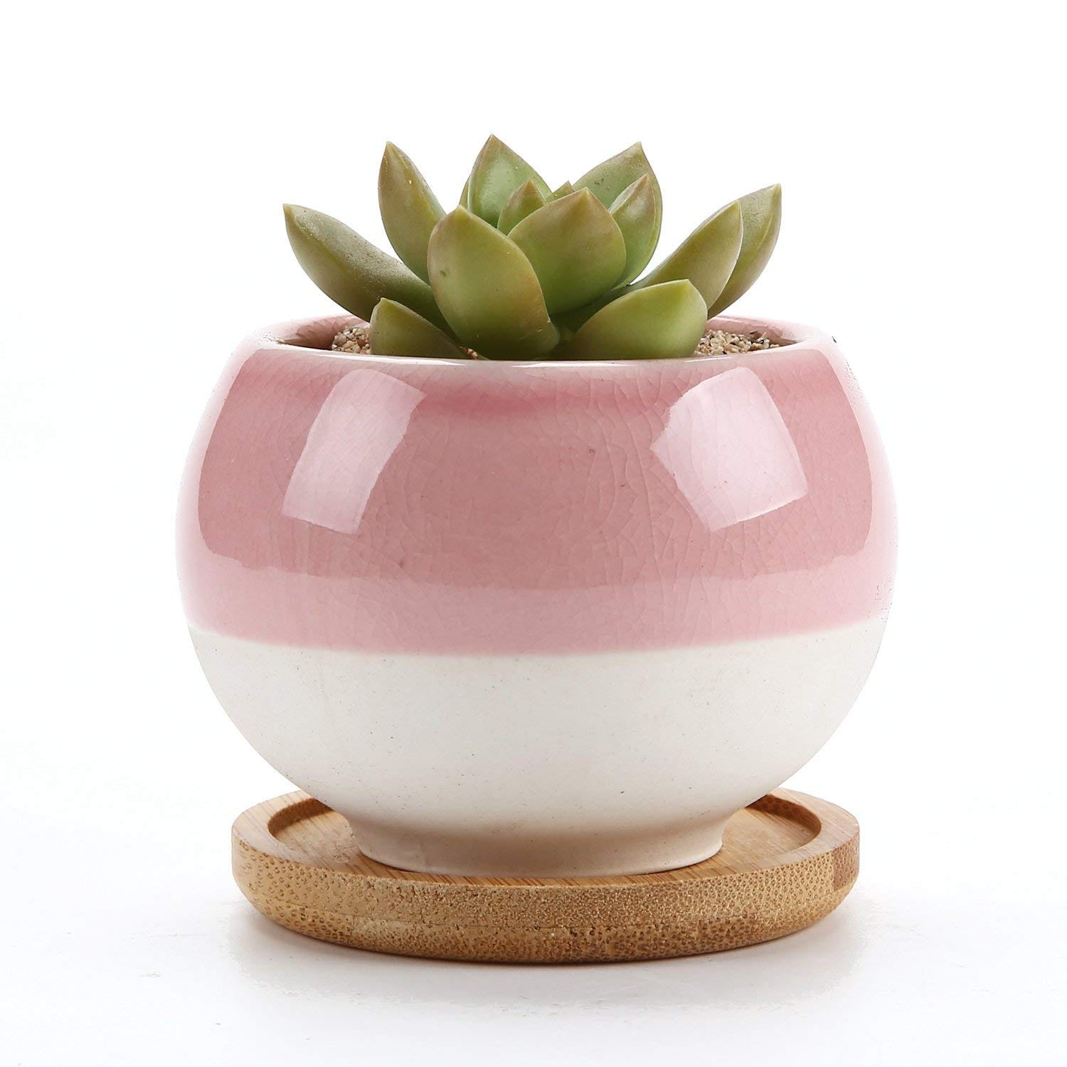 T4U + Ceramic Succulent Planter Pot with Bamboo Tray